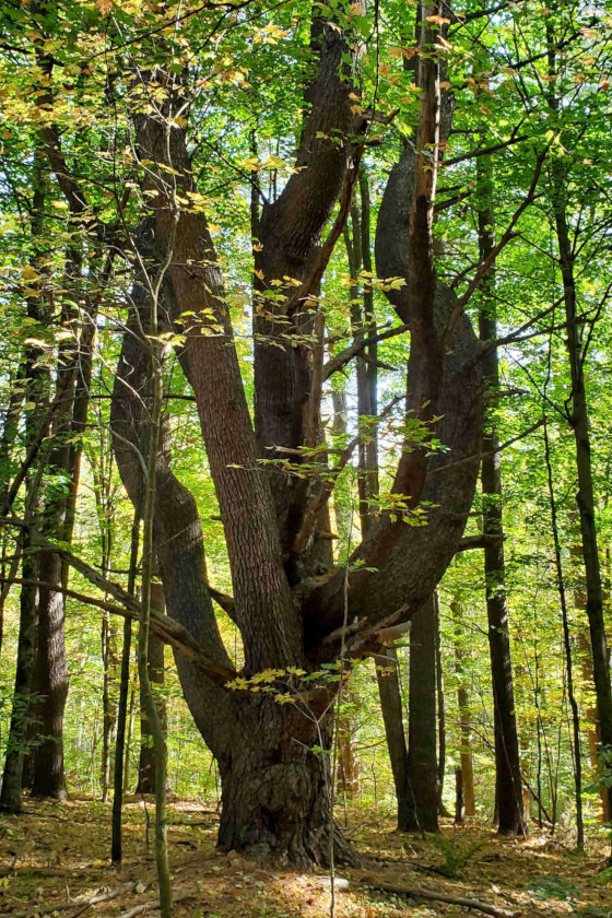 Flirt with Your Possible Selves – Eric's Two Books